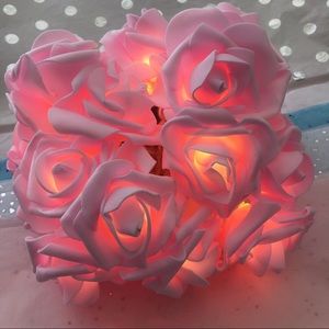 Holiday | New Trendy Hot Pink Roses String Lights | Poshmark